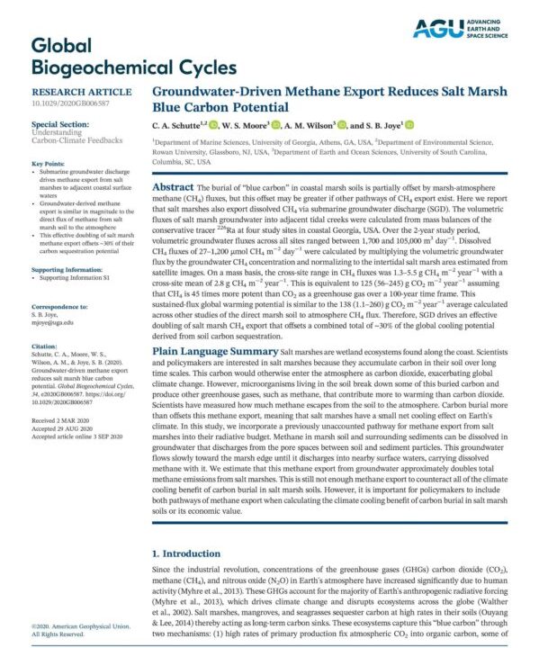 Groundwater-Driven Methane Export Reduces Salt Marsh Blue Carbon ...